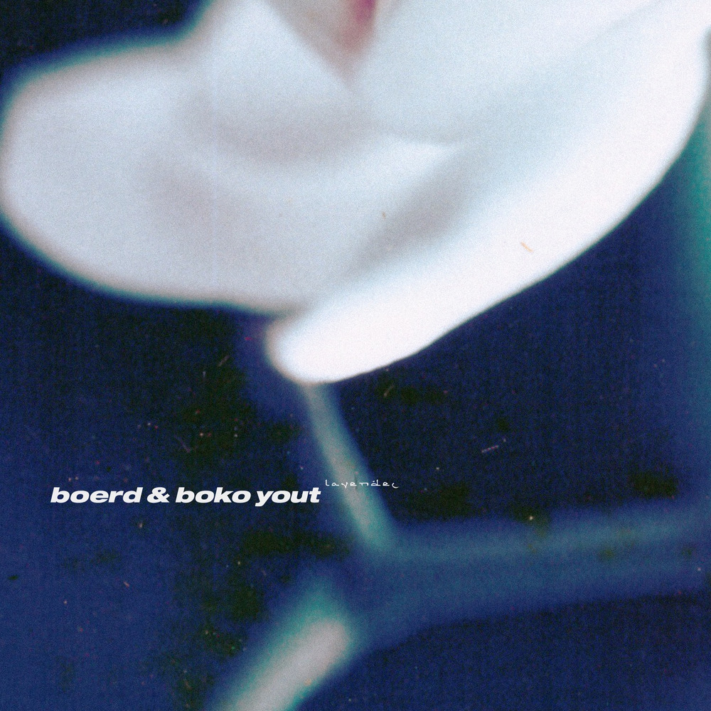 boerd; Boko Yout, Lavendel (Single) in High-Resolution Audio ...