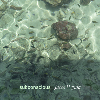 Jacco Wynia, subconscious (Single) in High-Resolution Audio ...
