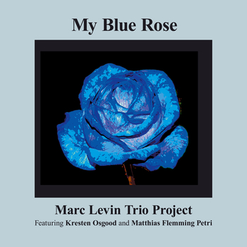Kresten Osgood; Matthias Flemming Petri; Marc Levin Trio Projects, My ...