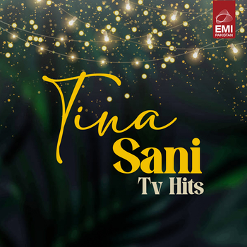 Tina Sani, Tina Sani - Tv Hits in High-Resolution Audio - ProStudioMasters