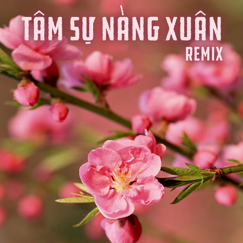 Anh Thư, Tâm Sự Nàng Xuân (Remix) in High-Resolution Audio ...