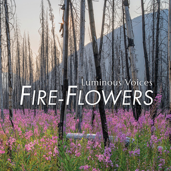 Luminous Voices; Timothy Shantz, Fire-Flowers in High-Resolution Audio ...