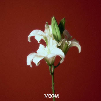moom, With Me (Single) in High-Resolution Audio - ProStudioMasters