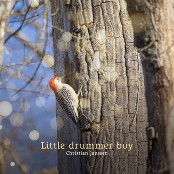 Christian Janssen, Little drummer boy (Single) in High-Resolution Audio ...