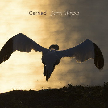 Jacco Wynia, Carried (Single) in High-Resolution Audio - ProStudioMasters