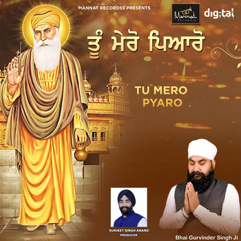 Bhai Gurvinder Singh Ji, Tu Mero Pyaro (Single) in High-Resolution ...