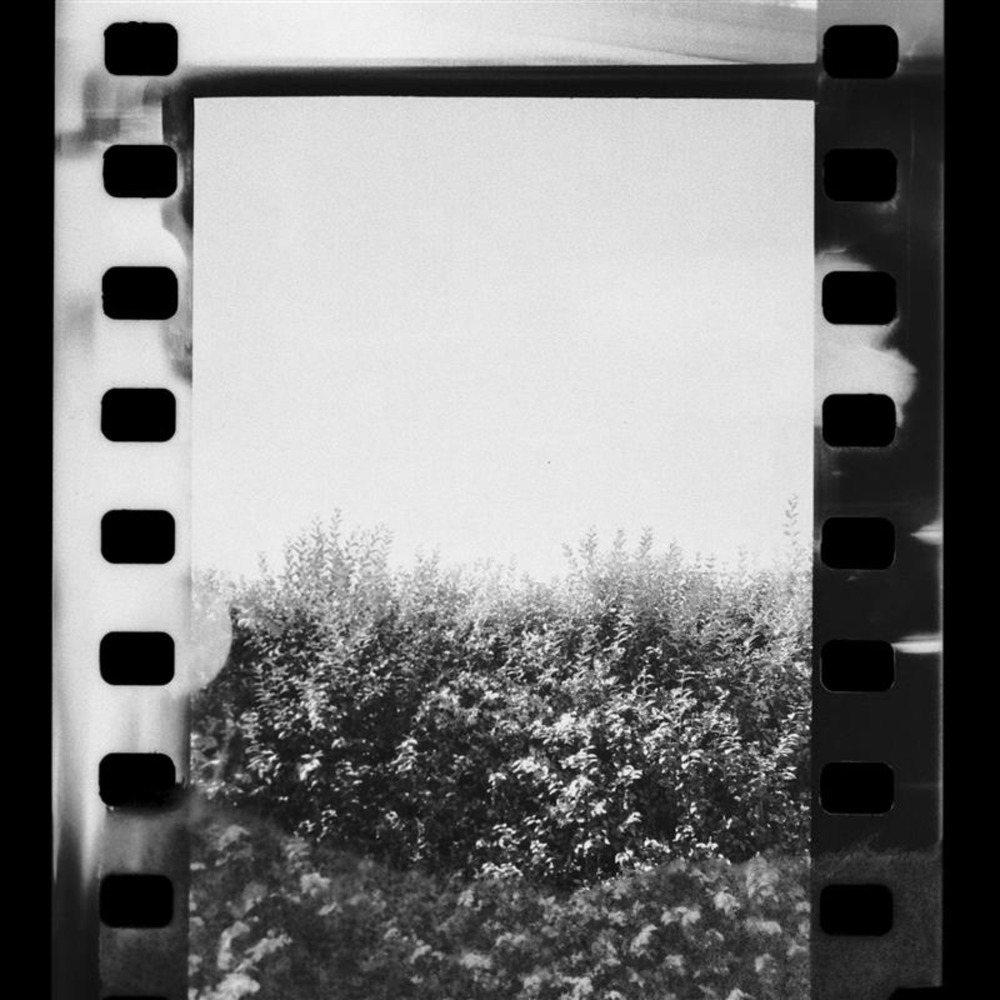 Henri Bentley; Lydia Munchinsky, Elusively Yours (Single) in High ...