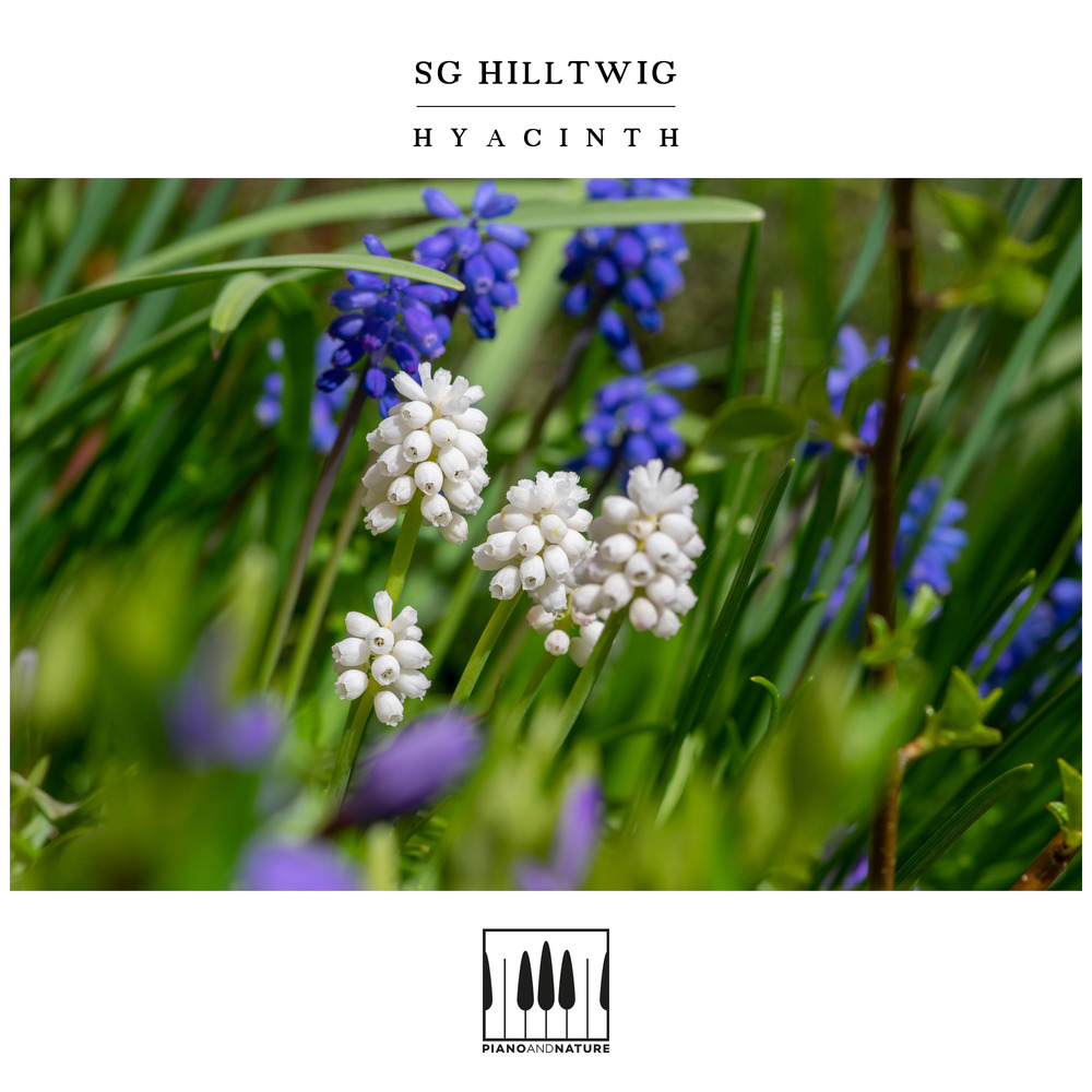 SG Hilltwig, Hyacinth (Single) in High-Resolution Audio - ProStudioMasters