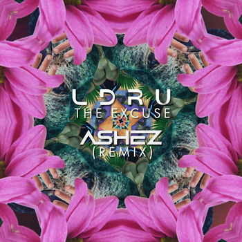 L D R U, The Excuse (Ashez remix / Single) in High-Resolution Audio ...
