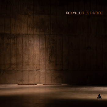 Various Artists, Luís Tinoco: KOKYUU in High-Resolution Audio ...