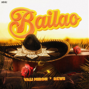 Vali Miron; DZWS, Bailao (Single) in High-Resolution Audio ...